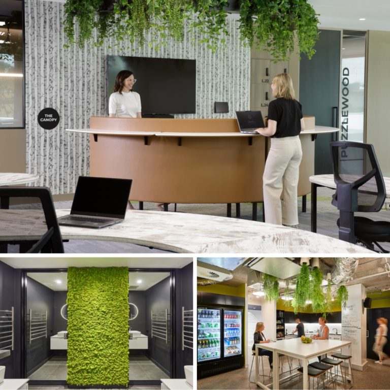 Office Greenery, Why Is This So Important? - PMG Group